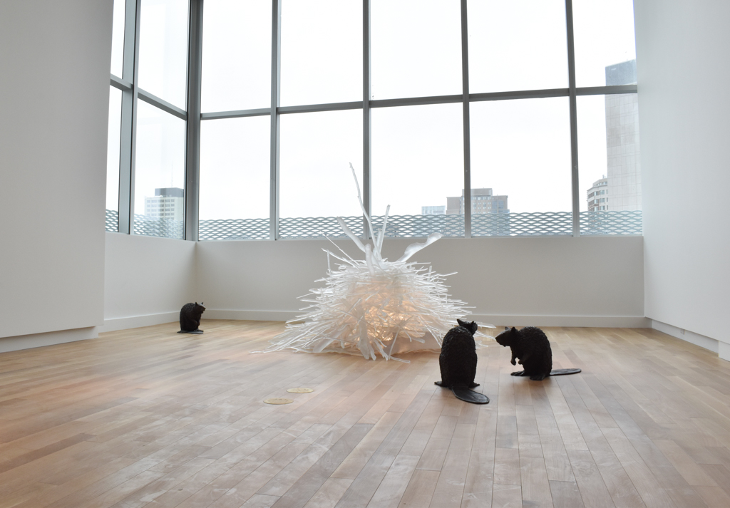 Anna Williams on view at the new Ottawa Art Gallery – L.A. Pai Gallery