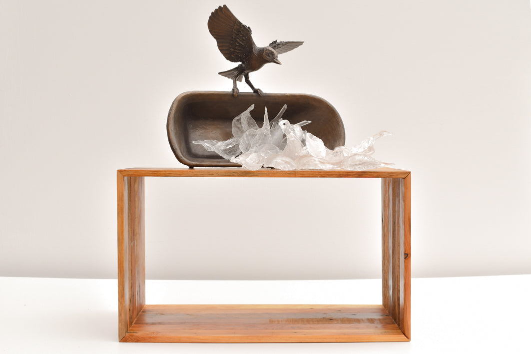 Anna Williams – L.A. Pai Gallery
