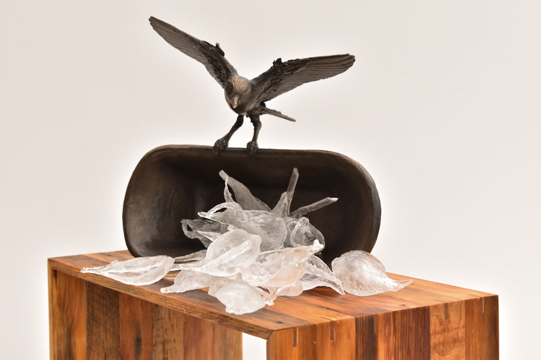 Anna Williams – L.A. Pai Gallery